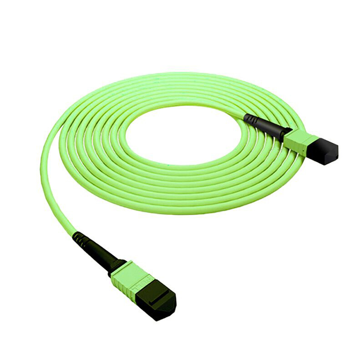 50m OM5 MPO to MPO 12 B - OM5